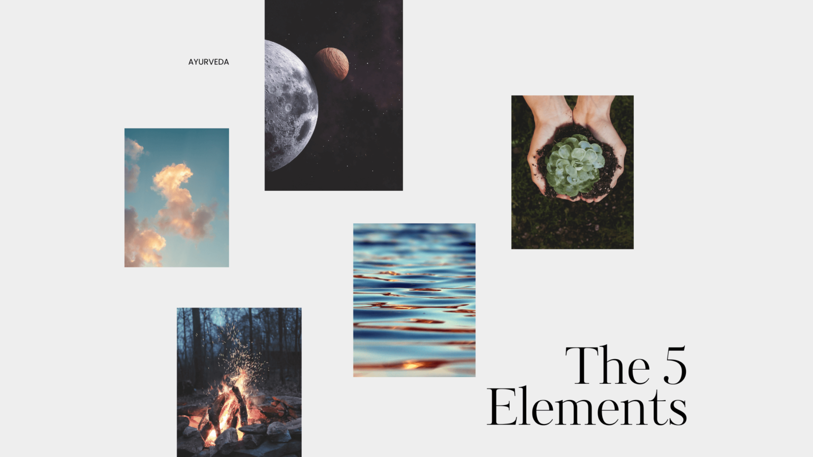 Introduction to Ayurveda | Samantha Ball Wellness